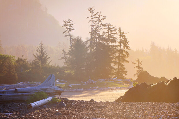 Side Bay Sunrise by Emily Norton - Get to Know Your Arts Community